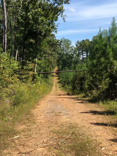 Best Hikes and Trails in Berry College Nature Preserve | AllTrails