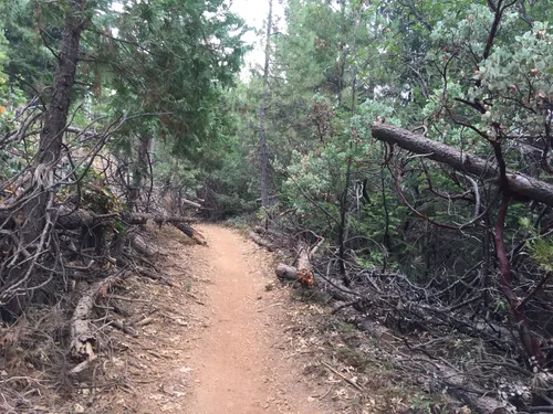 10 Best Trails and Hikes in Pollock Pines | AllTrails