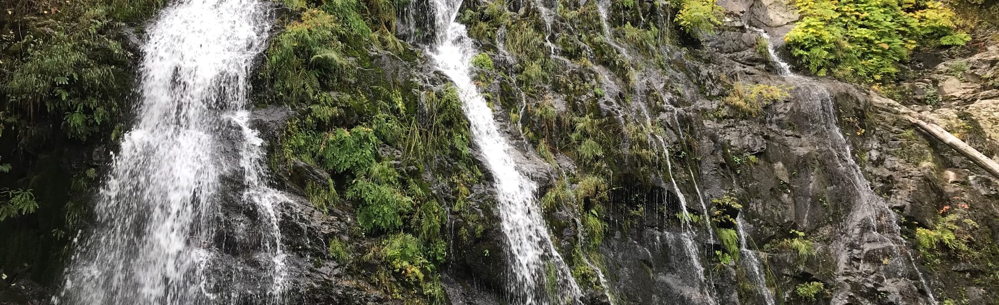 Christie Falls via Trans Canada Loop: 299 Reviews, Map - British ...