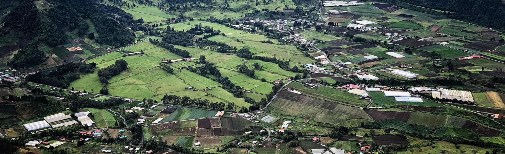 Cerro Punta Loop: 13 fotos - Chiriquí, Panamá | AllTrails