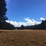 Canjilon Lakes and Canijilon Mountain Loop, New Mexico - 40 Reviews ...