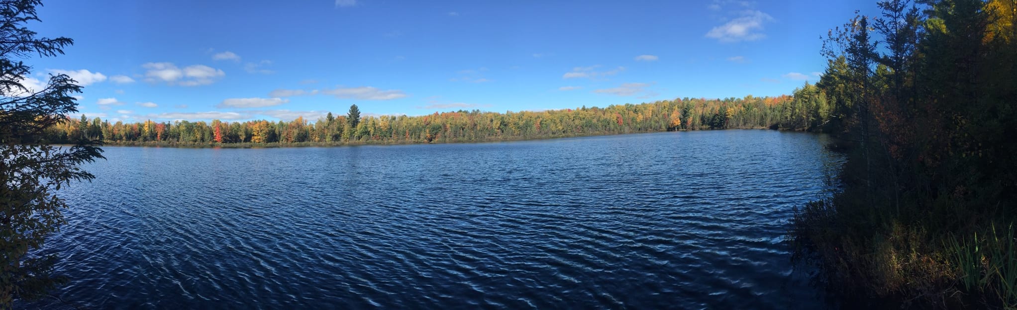 Jones Springs South Loop: 1 Reviews, Map - Wisconsin | AllTrails