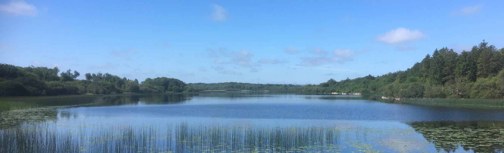 Dromore Wood Loop: 65 Reviews, Map - County Clare, Ireland | AllTrails