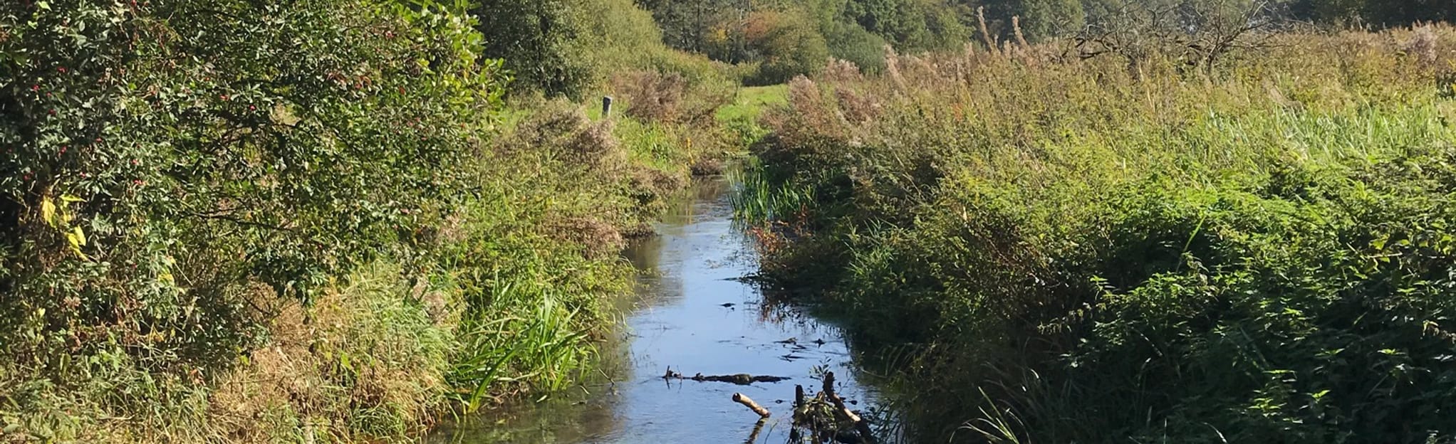 Balloërveld - De Heest - Gasterse Duinen, Drenthe, Netherlands - 4 ...