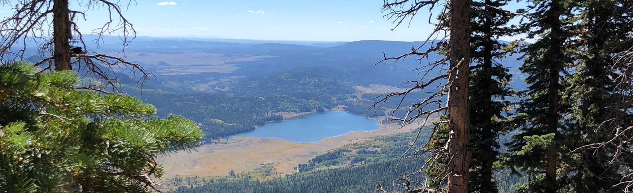 Cimarrona to Poison Park, Colorado - 14 Reviews, Map | AllTrails