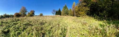 2023 Best 10 Forest Trails in Chránená krajinná oblasť (CHKO) Východné ...