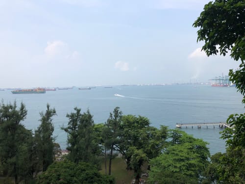 Best Hikes and Trails in Mount Faber Park | AllTrails