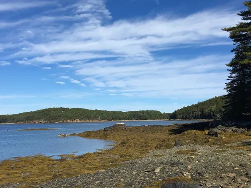 Best Snowshoeing Trails in Holbrook Island Sanctuary | AllTrails