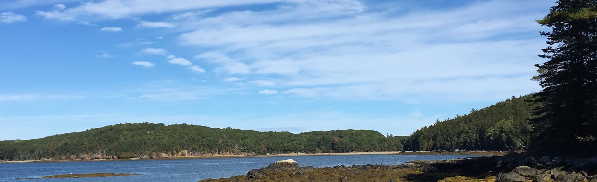 Backshore Trail: 31 Reviews, Map - Maine | AllTrails