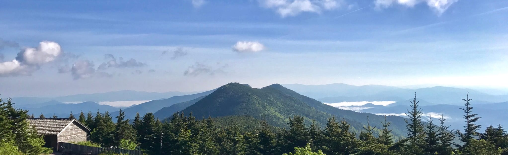 Mount Mitchell Summit Trail, North Carolina - 733 Reviews, Map | AllTrails