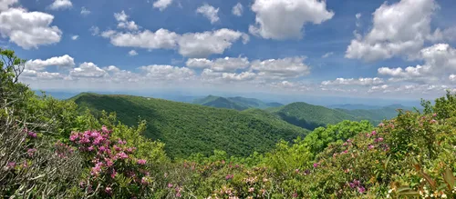 Best 10 Hikes and Trails in Blue Ridge Parkway | AllTrails