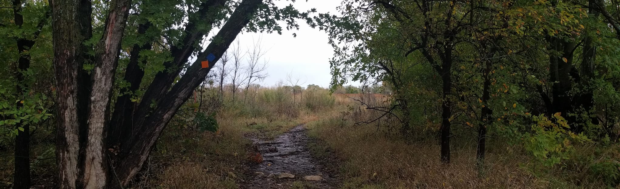 Black Hawk Trail Section 2, Kansas - 19 Reviews, Map | AllTrails