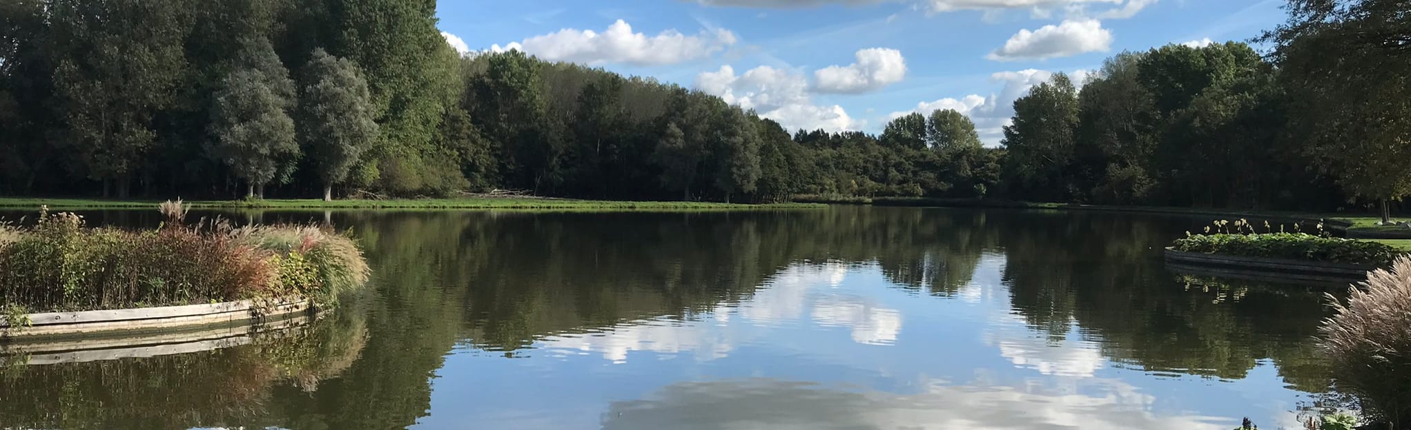Lage Bergse Bos: 17 Fotos - Provinz Südholland, Niederlande | AllTrails