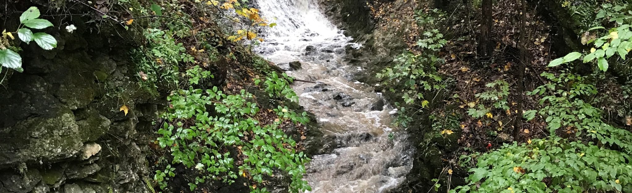 Salamonie River State Forest Park Loop: 256 Reviews, Map - Indiana ...