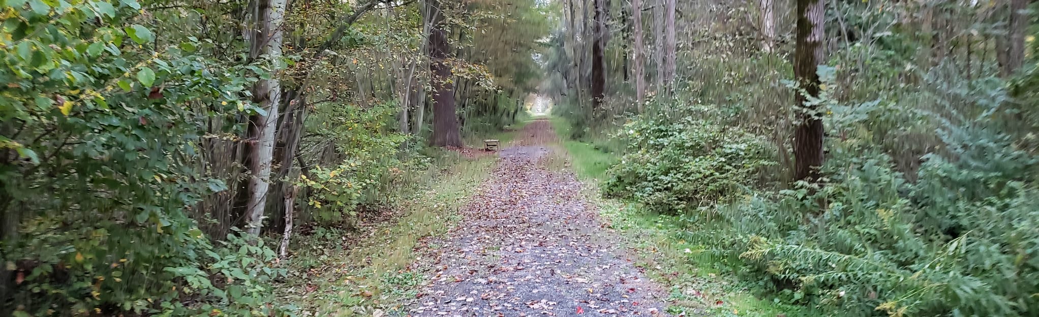 Shawmut Trail, Pennsylvania - 9 Reviews, Map | AllTrails