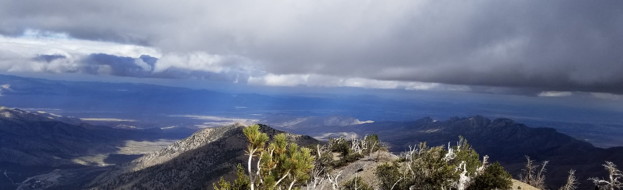 Griffith Peak From Harris Springs Road | Map, Guide - Nevada | AllTrails