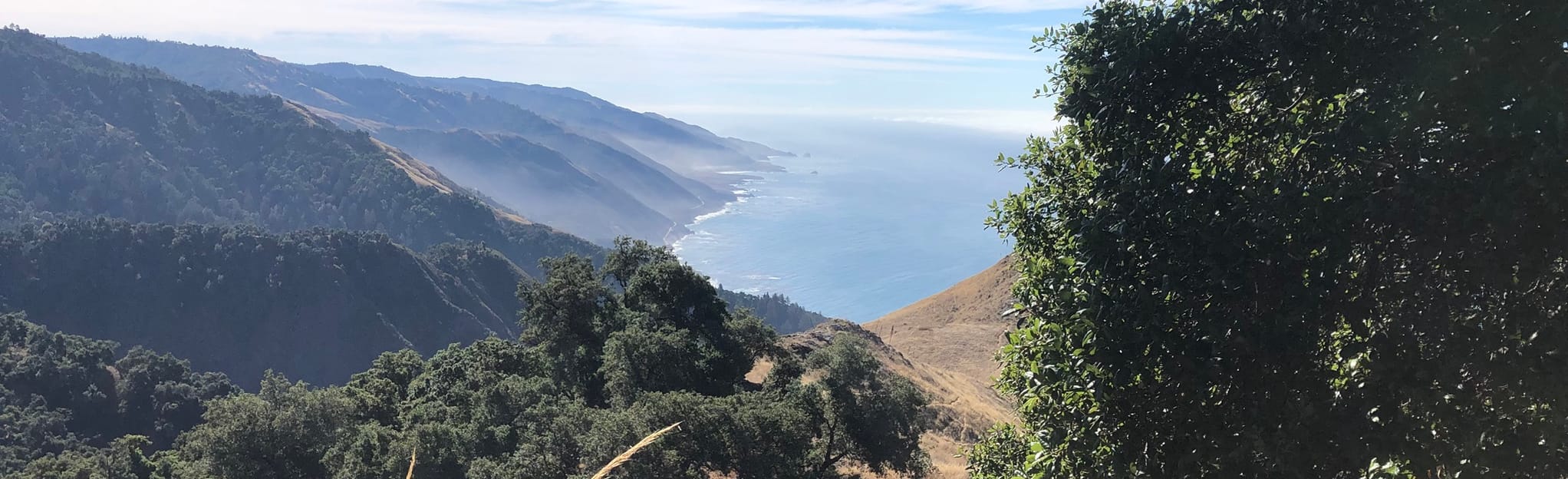 Vicente Flat Trail, Stone Ridge Trail, and Cone Peak Loop, California ...