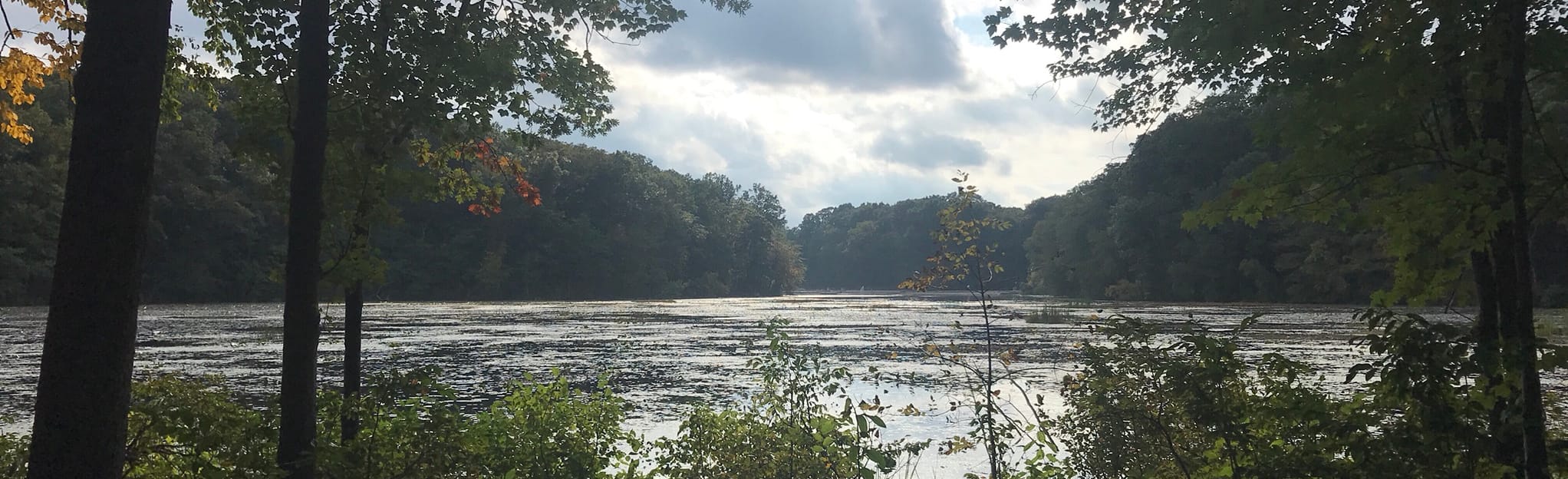 Birchwood Lake via Red Trail Loop: 475 Reviews, Map - New Jersey ...