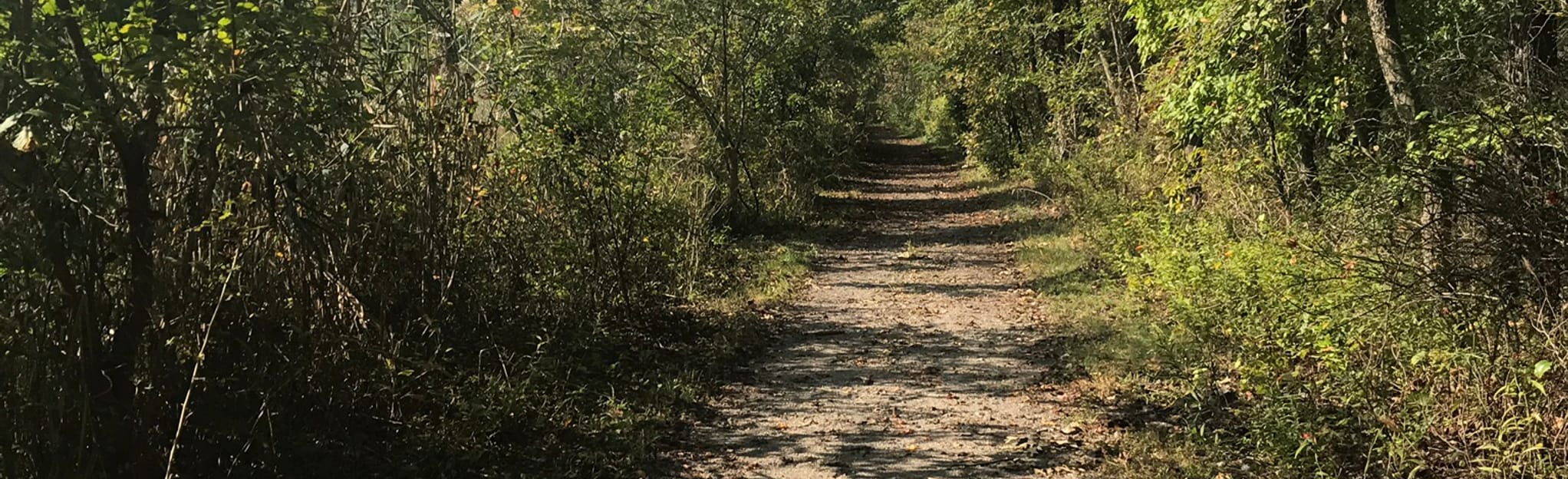 Black Marsh Trail Loop: 333 Reviews, Map - Maryland | AllTrails
