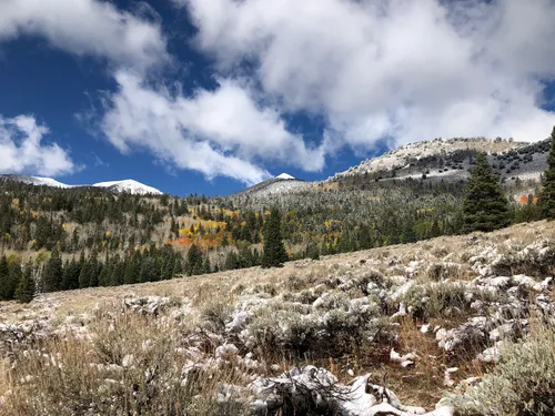 2023 Best 10 Hard Trails in Great Basin National Park | AllTrails