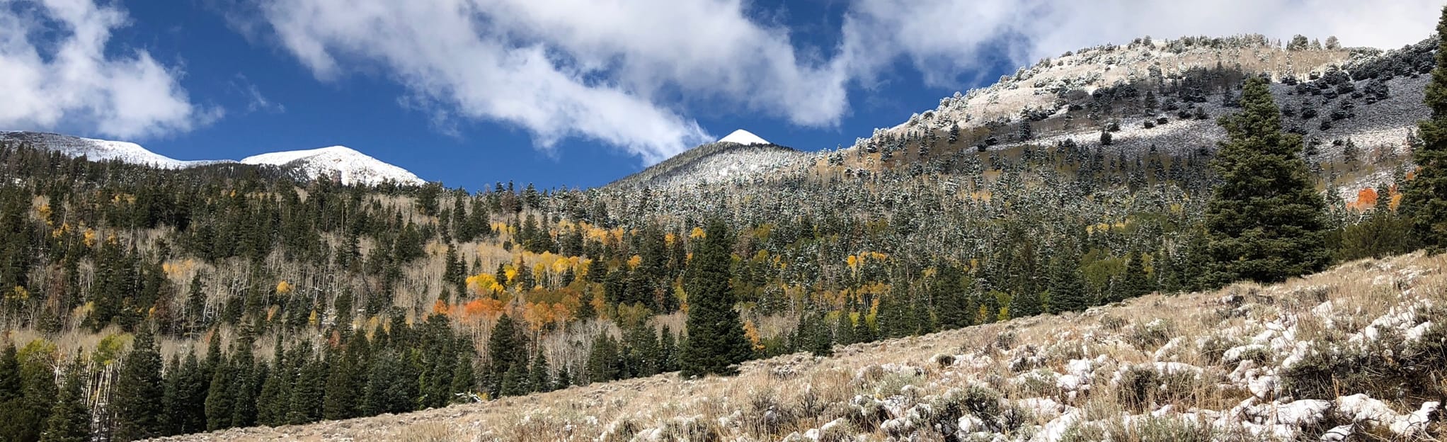 Dead Lake and Johnson Lake Loop, 110 Fotos - Nevada | AllTrails