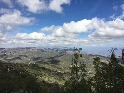 Best Hikes and Trails in Four Peaks Wilderness | AllTrails