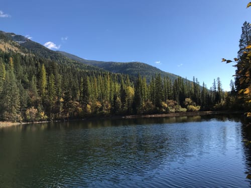 Best Hikes and Trails in Premier Lake Provincial Park | AllTrails