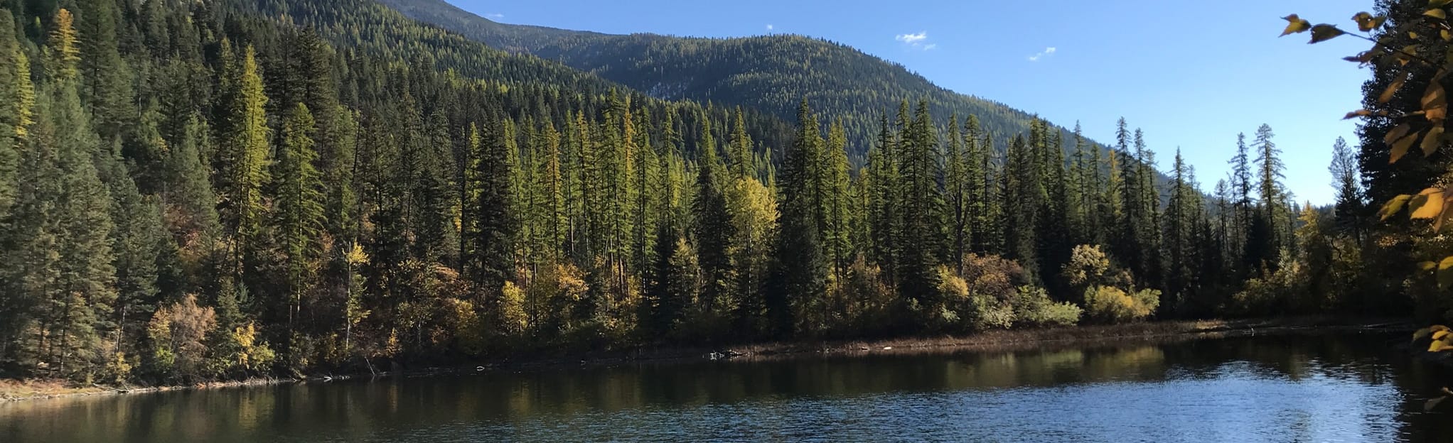 Premier Lake to Canuck Lake Loop: 218 Reviews, Map - British Columbia ...