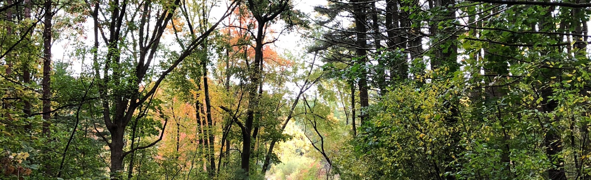 Reading Town Forest Inner Loop, Massachusetts - 354 Reviews, Map ...