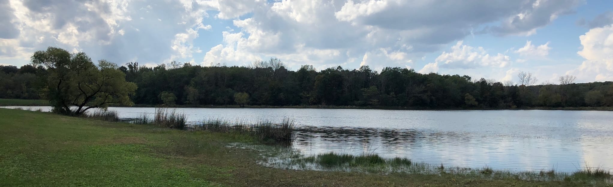 AllTrails | Palos Community Park to Trinity Creek Forest Preserve: 20 ...