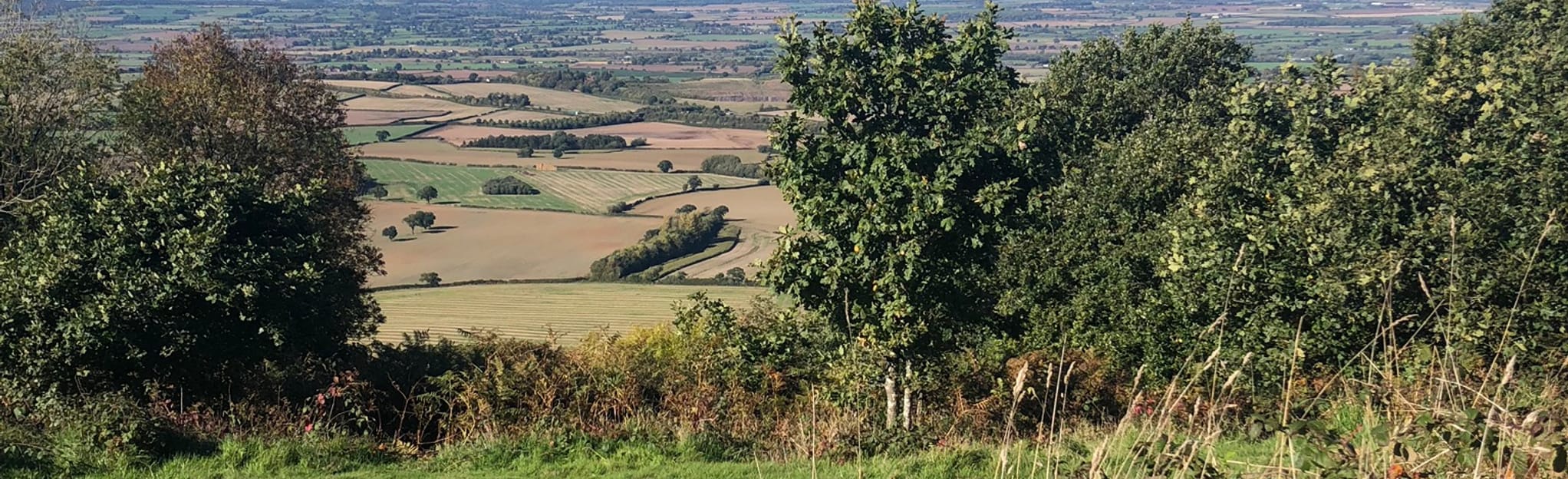 The Wrekin, Shropshire, England - 382 Reviews, Map | AllTrails