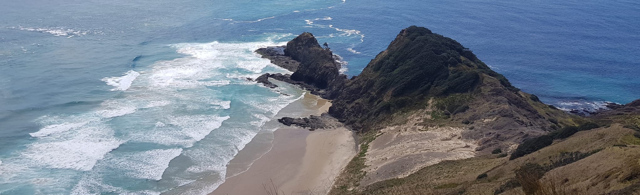 Cape Reinga from Cape Reinga Road End, Northland, New Zealand - 99 ...