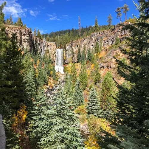 10 Best Dog Friendly Trails in Oregon | AllTrails