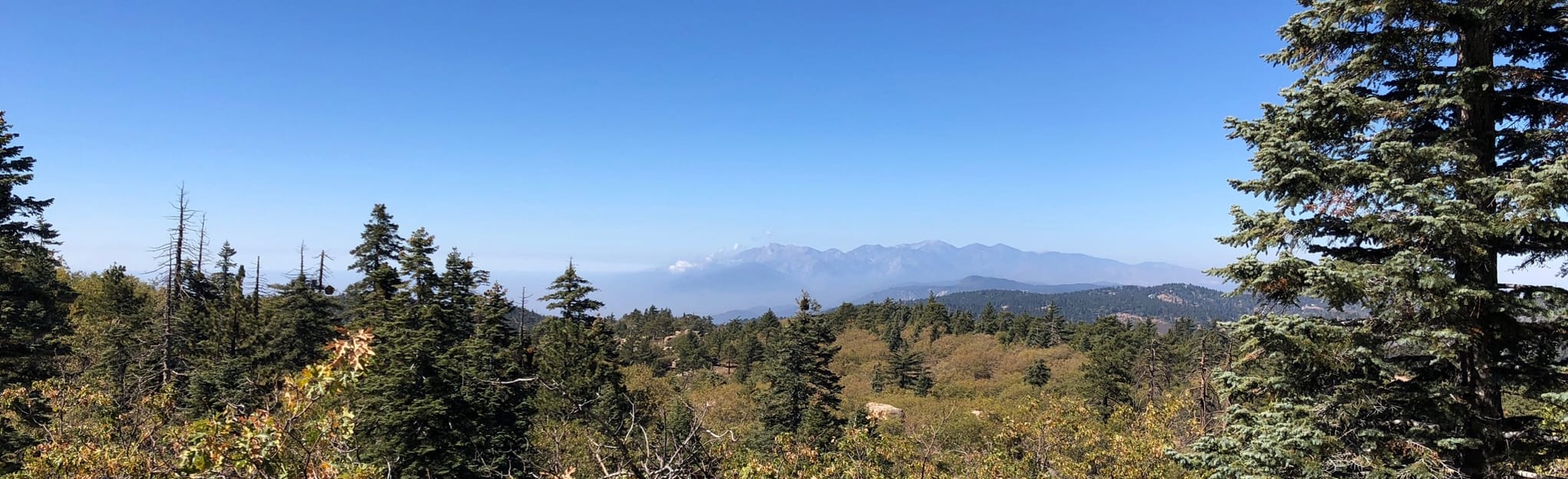 Exploration Trail, California - 535 Reviews, Map | AllTrails