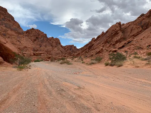10 Best Off Road Driving Trails in Nevada | AllTrails