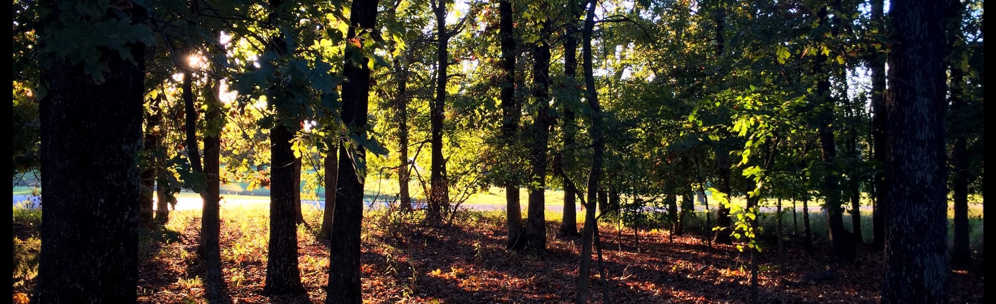 Fossil Trail, Sequoyah Trail, Whispering Pines, and Eagles Roost Trail ...