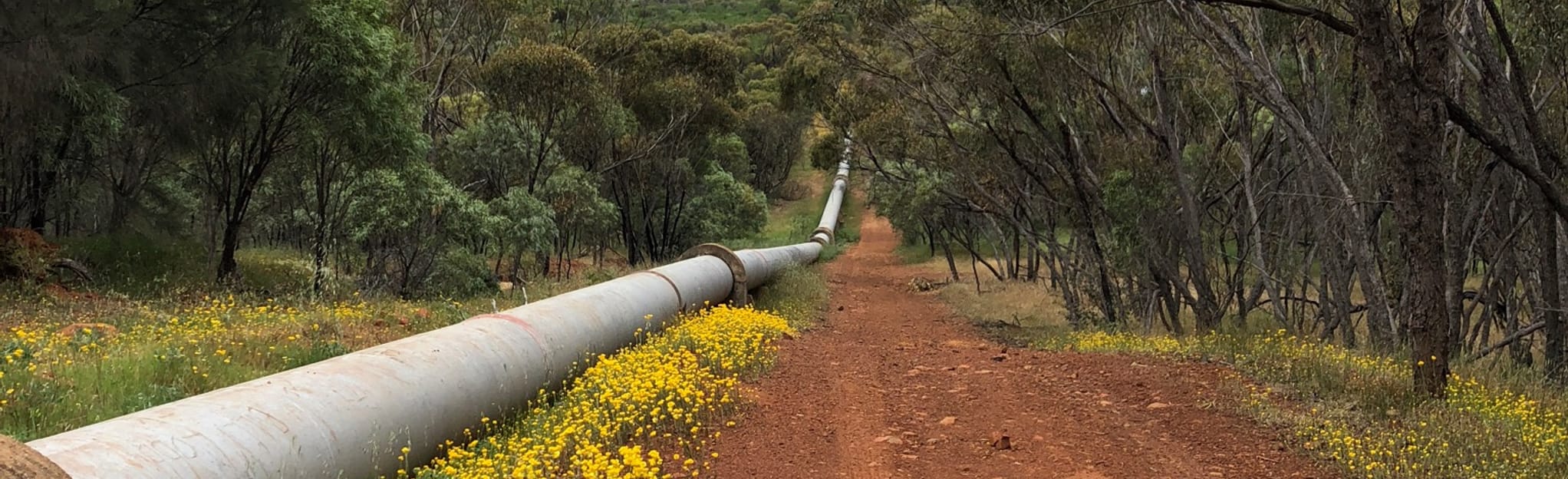 Kep Track: 56 Reviews, Map - Western Australia, Australia | AllTrails