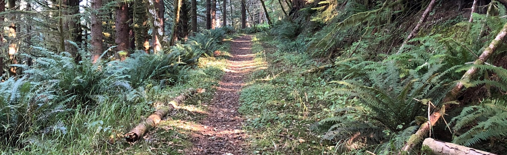 Cooks Ridge Trail via Discovery Trail, Oregon - 134 Reviews, Map ...