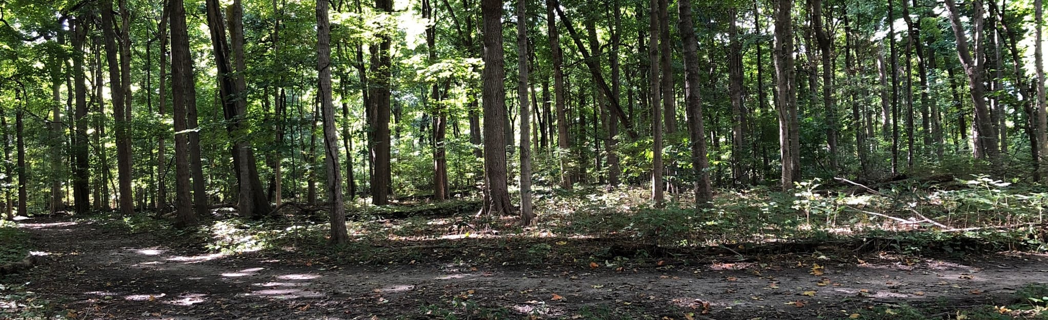 Broad Ripple Park, Indiana - 38 Reviews, Map | AllTrails