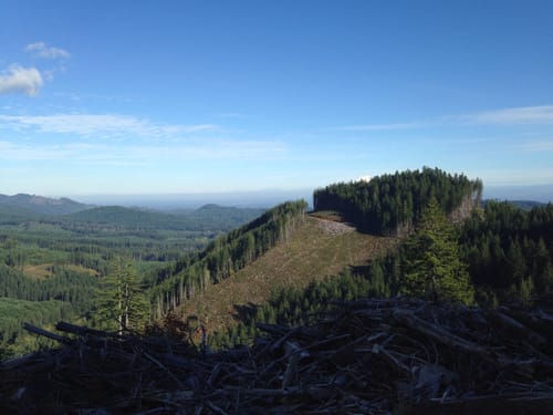 2023 Best 10 Hard Trails in Capitol State Forest | AllTrails