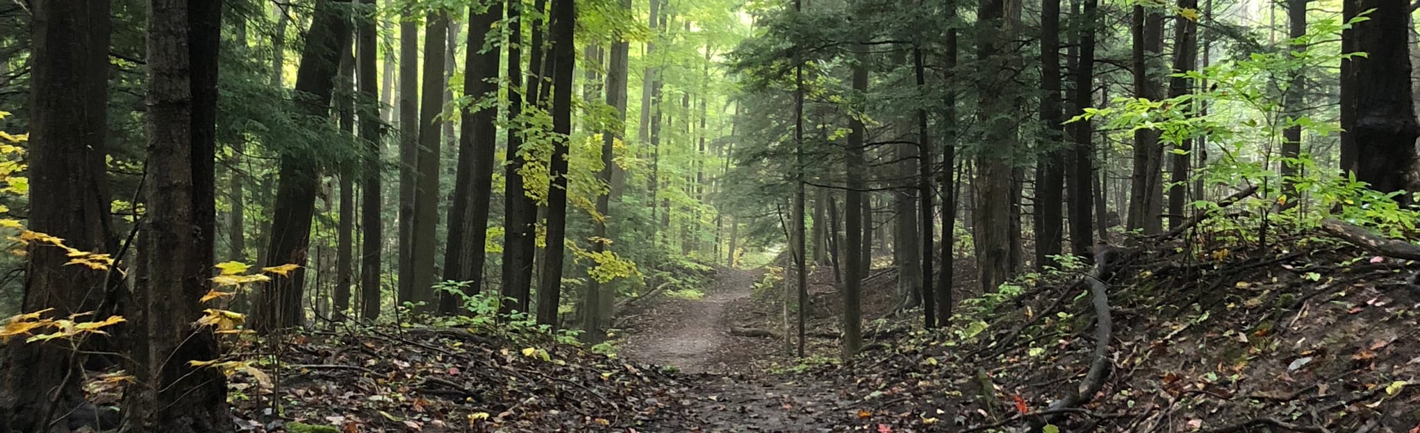 Oak Ridges Trail: 446 Reviews, Map - Ontario, Canada | AllTrails