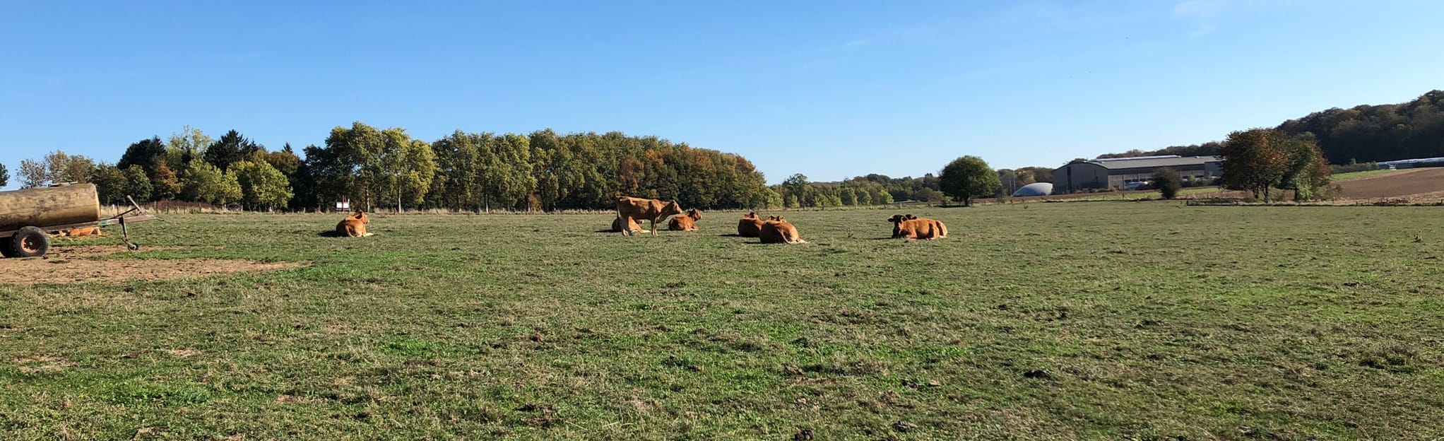 Große Runde bei Kehlen: 6 Reviews, Map - Capellen, Luxembourg | AllTrails