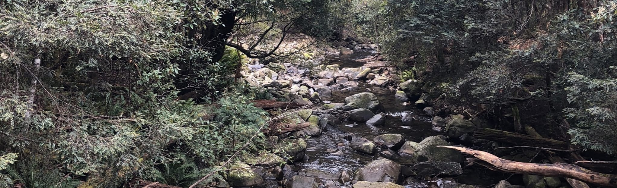 Liffey Falls via Lower Liffey Reserve Campground: 80 foto's - Tasmanië ...