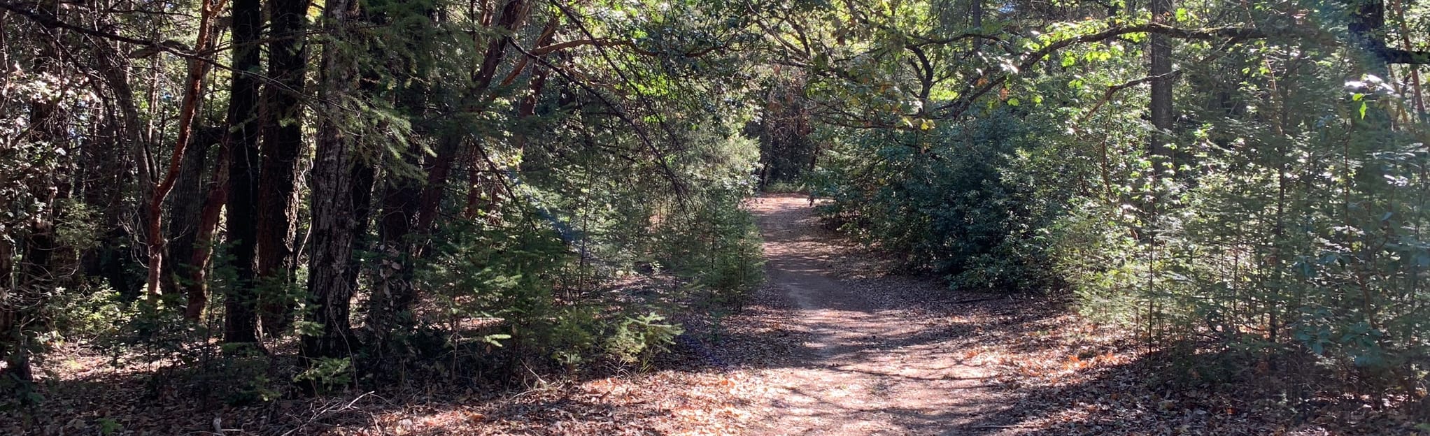 Ridge Road Trail: 44 Reviews, Map - California | AllTrails
