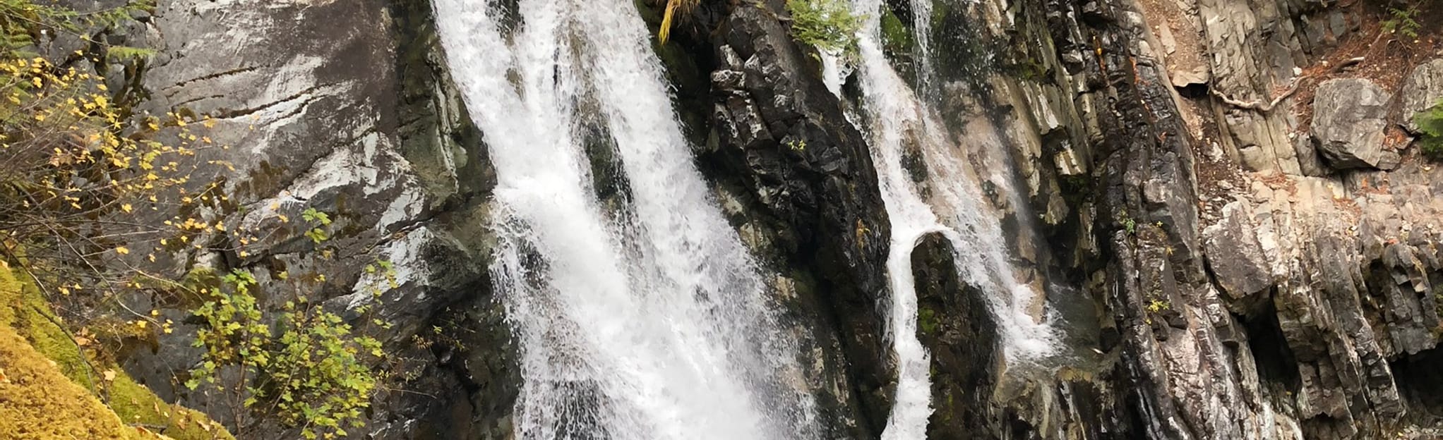 Perry Creek Trail, British Columbia, Canada - 153 Reviews, Map | AllTrails