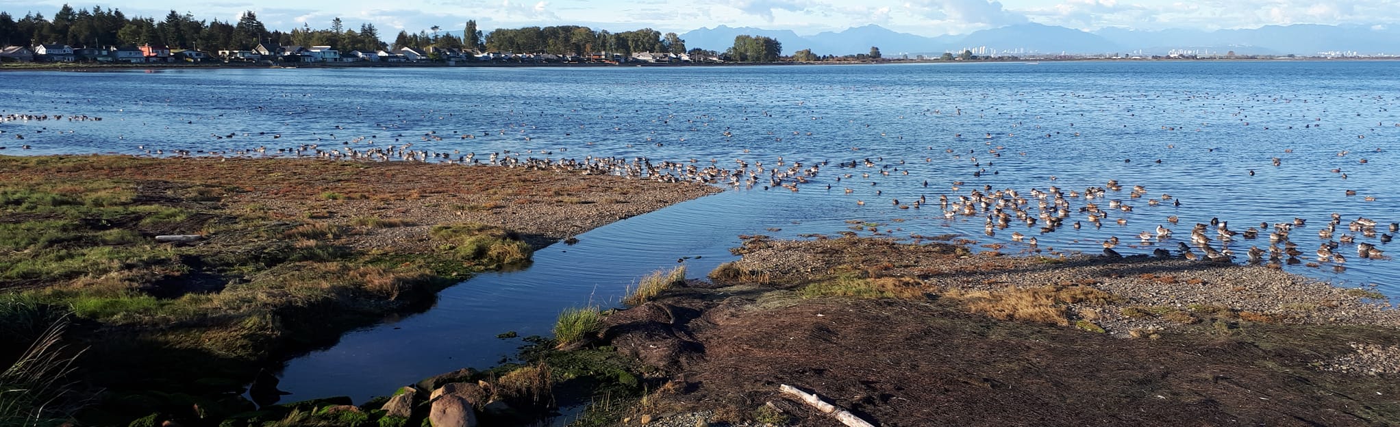 Boundary Bay, British Columbia, Canada - 218 Reviews, Map | AllTrails