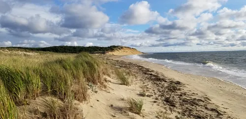 10 Best Hikes and Trails in Cape Cod National Seashore | AllTrails