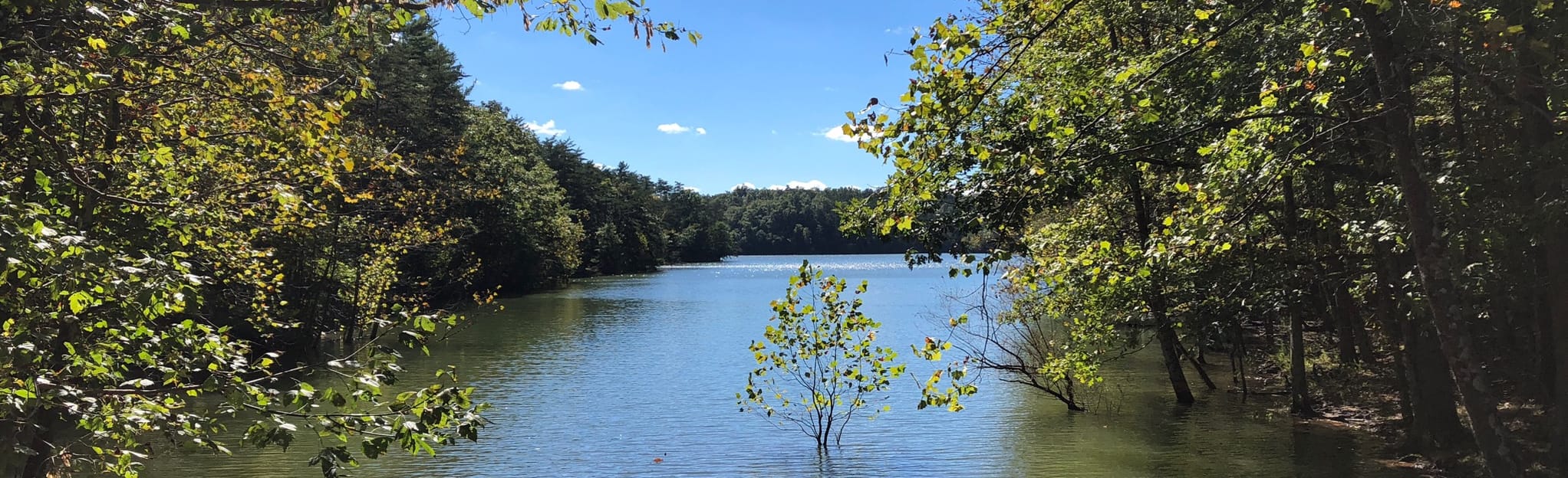 Happy Valley Trail - Virginia | AllTrails