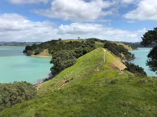 10 Best Trails and Hikes in Auckland | AllTrails