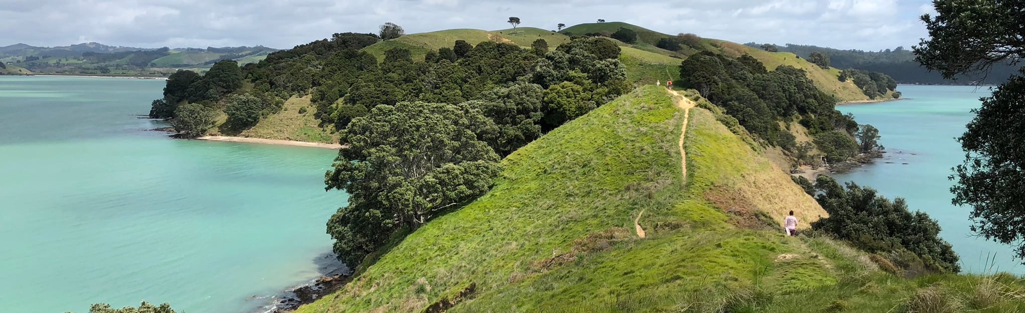 Duder Regional Park Loop, Auckland, New Zealand - 585 Reviews, Map ...